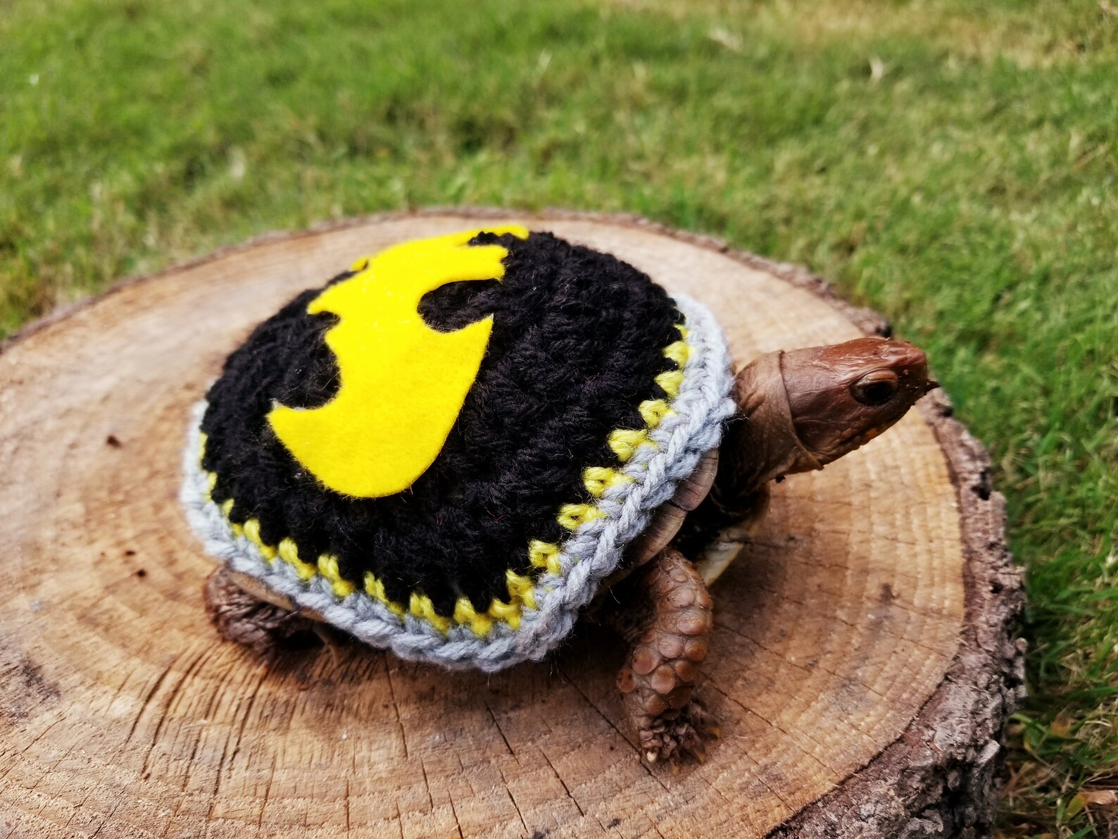 Superhero Inspired Turtle/tortoise Crochet Costume - Etsy