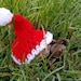 Crochet Santa Hat Turtle/tortoise Costume - Etsy