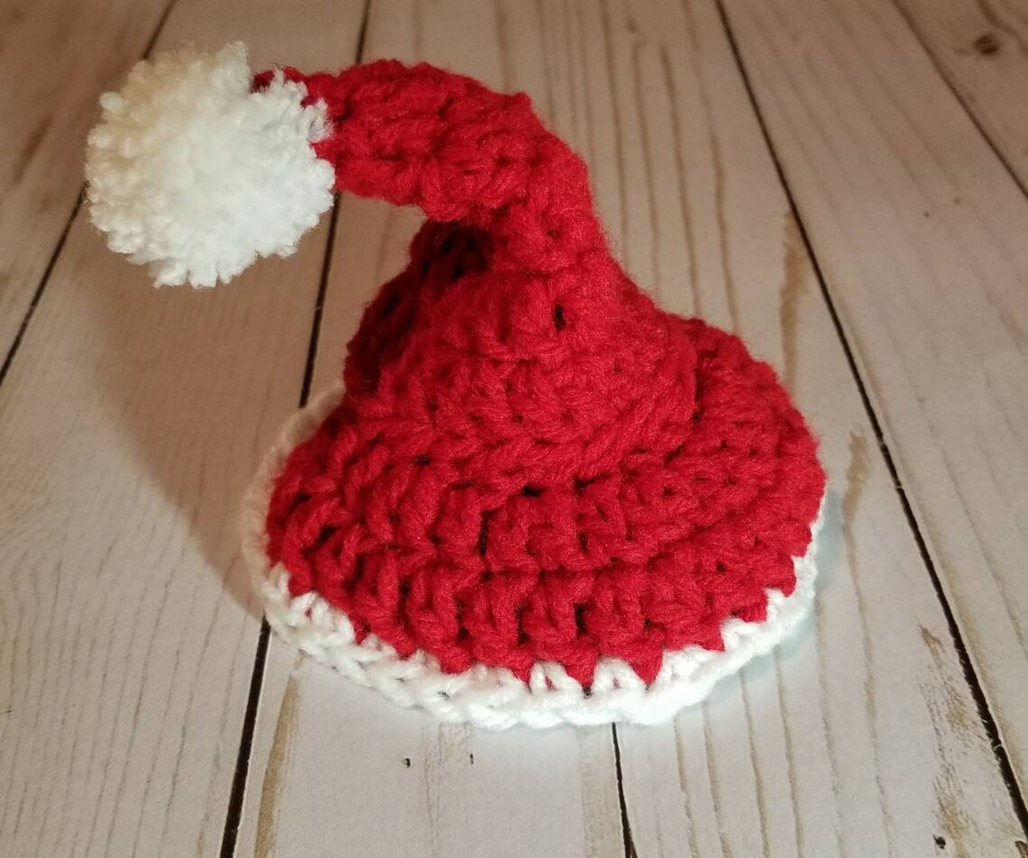 Crochet Santa Hat Turtle/tortoise Costume | Etsy