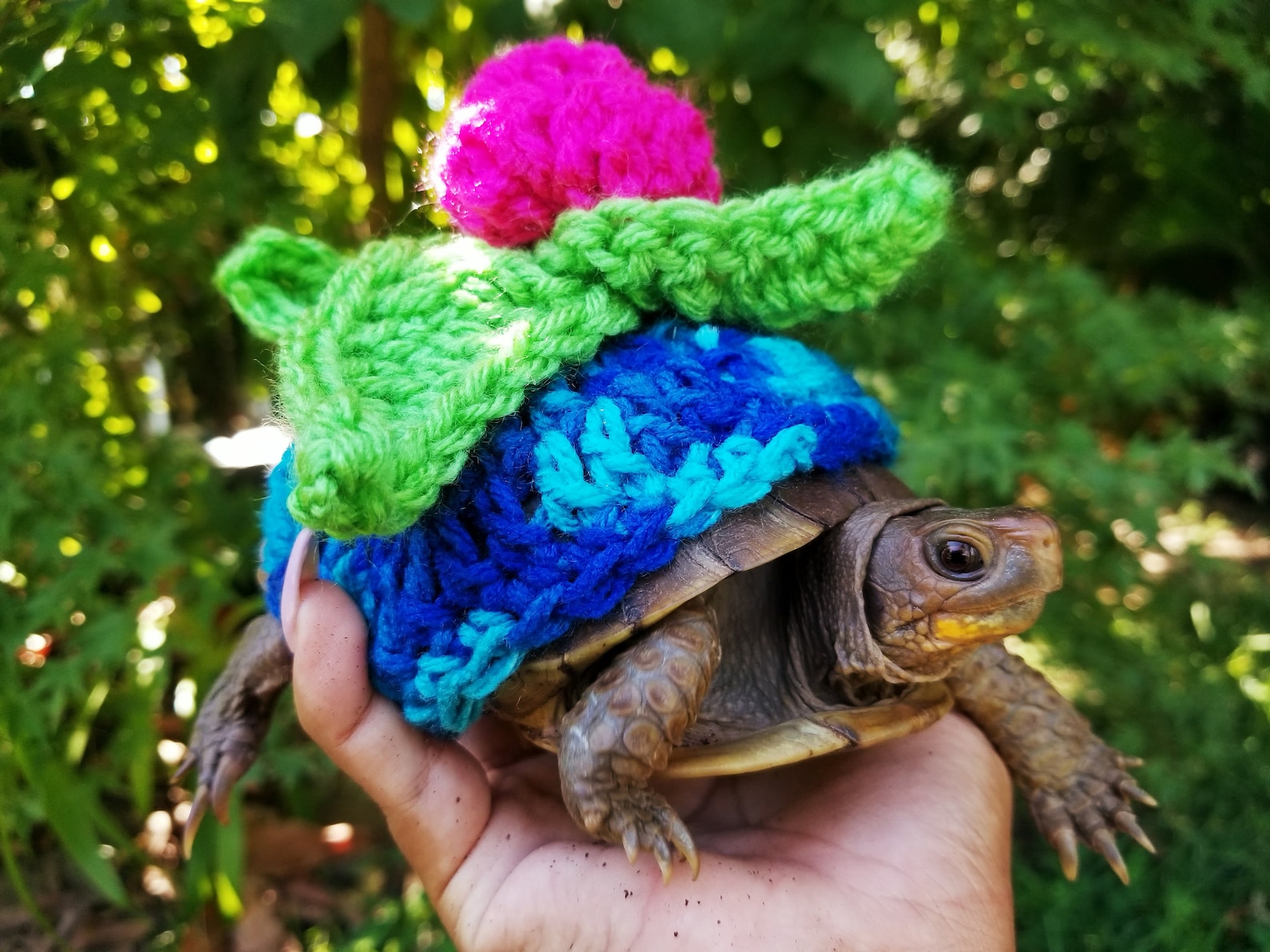 Ivysaur Inspired Costume for Turtle/tortoises - Etsy