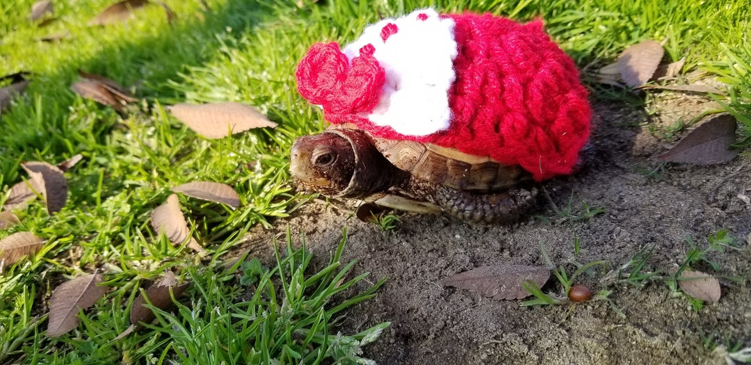 Turtle/ Tortoise Tuxedo Costume - Etsy