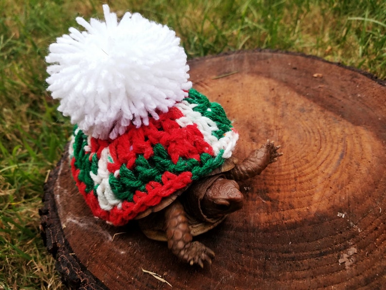 Festive Pom Pom Turtle/ Tortoise Costume - Etsy UK