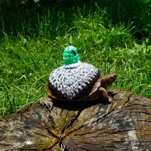 Alien in Spaceship Costume for Turtle/tortoises - Etsy