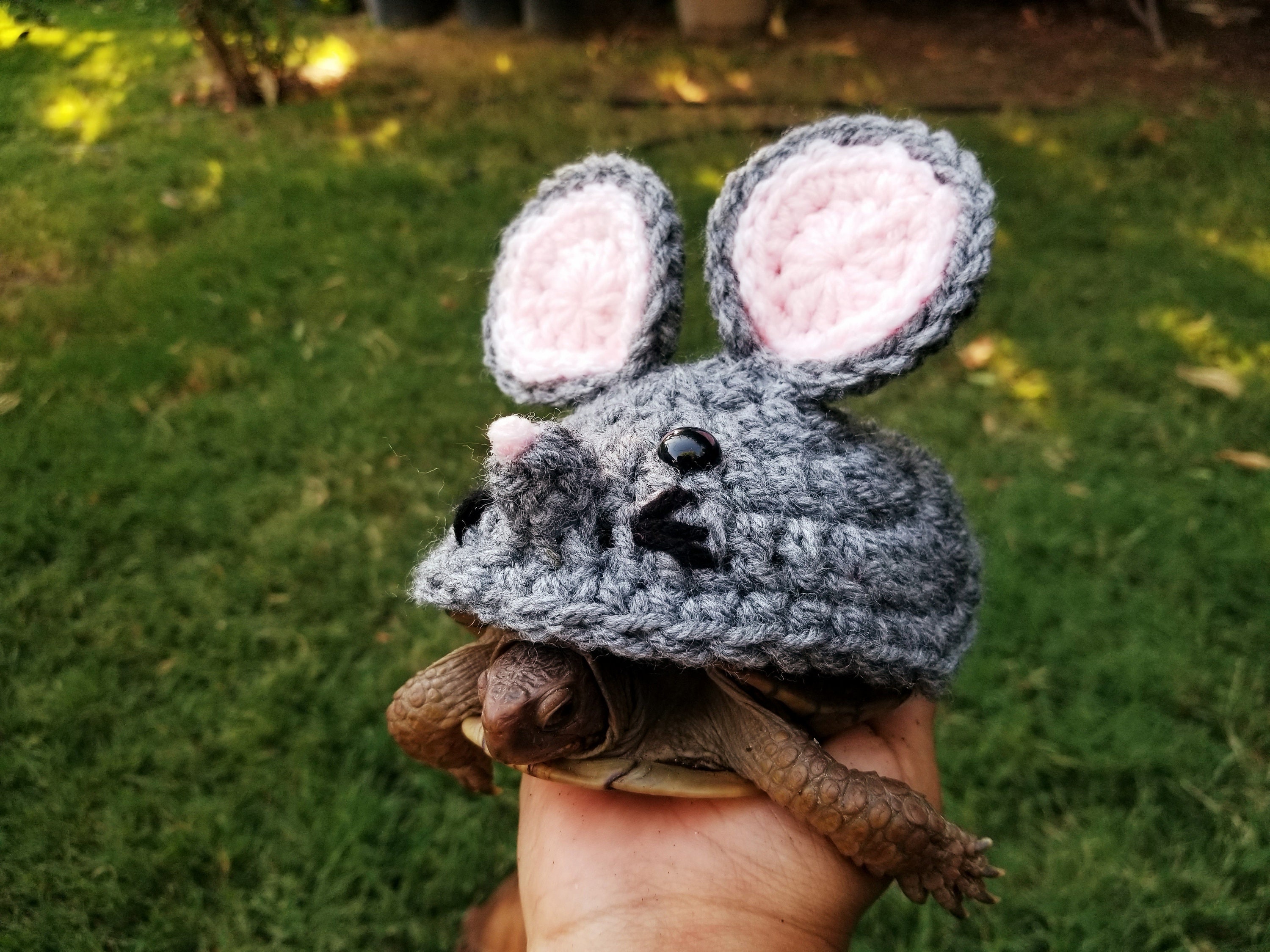 Gray Mouse Inspired Crochet Costume for Turtles/ Tortoises - Etsy