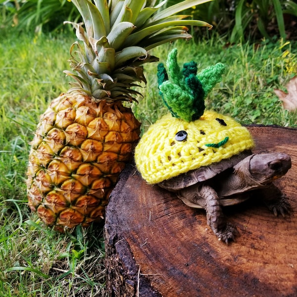 Tortoise Pineapple Costume - Etsy