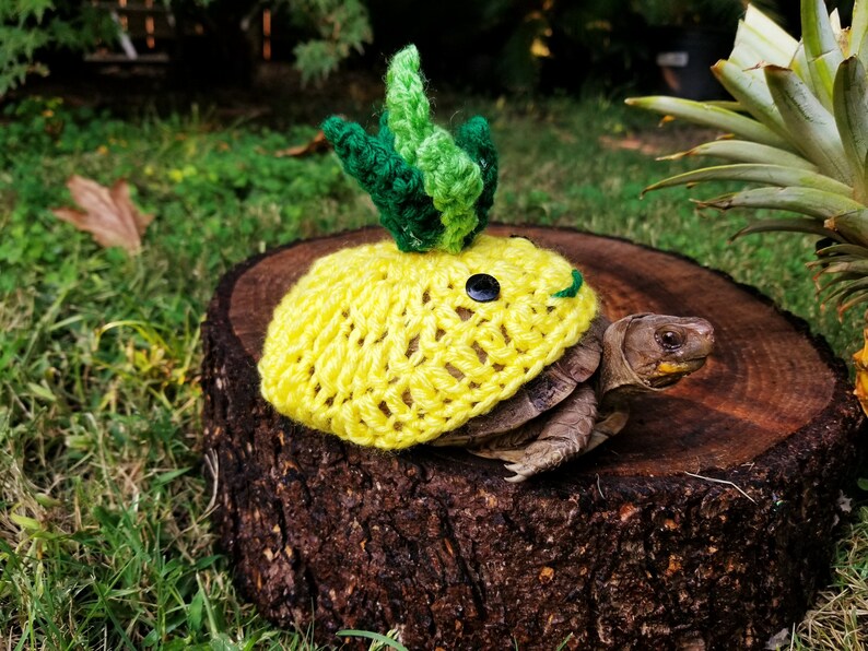 Happy Pineapple Costume for Turtles/ Tortoises - Etsy