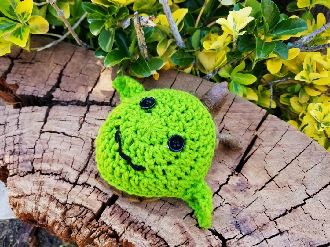 Yoda Inspired Costume for Turtle/tortoises - Etsy