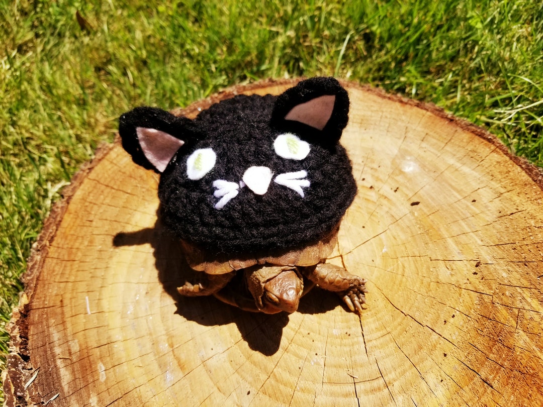 Black Cat Costume for Turtle/tortoises - Etsy