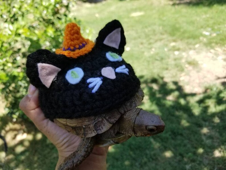 Black Cat with Witch Hat Costume Turtle/Tortoises | Etsy