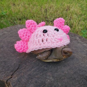 Axolotl Inspired Crochet Costume for Turtles/ Tortoises - Etsy