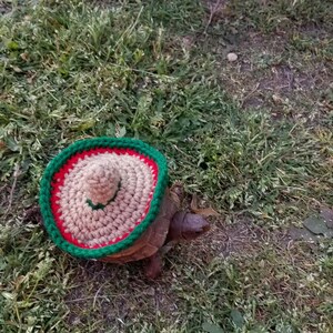 Mariachi Sombrero Turtle/tortoise Costume - Etsy