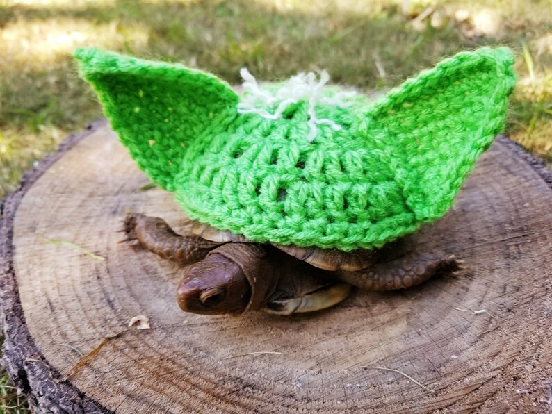 Yoda Ears Inspired Costume for Turtle/tortoises | Etsy