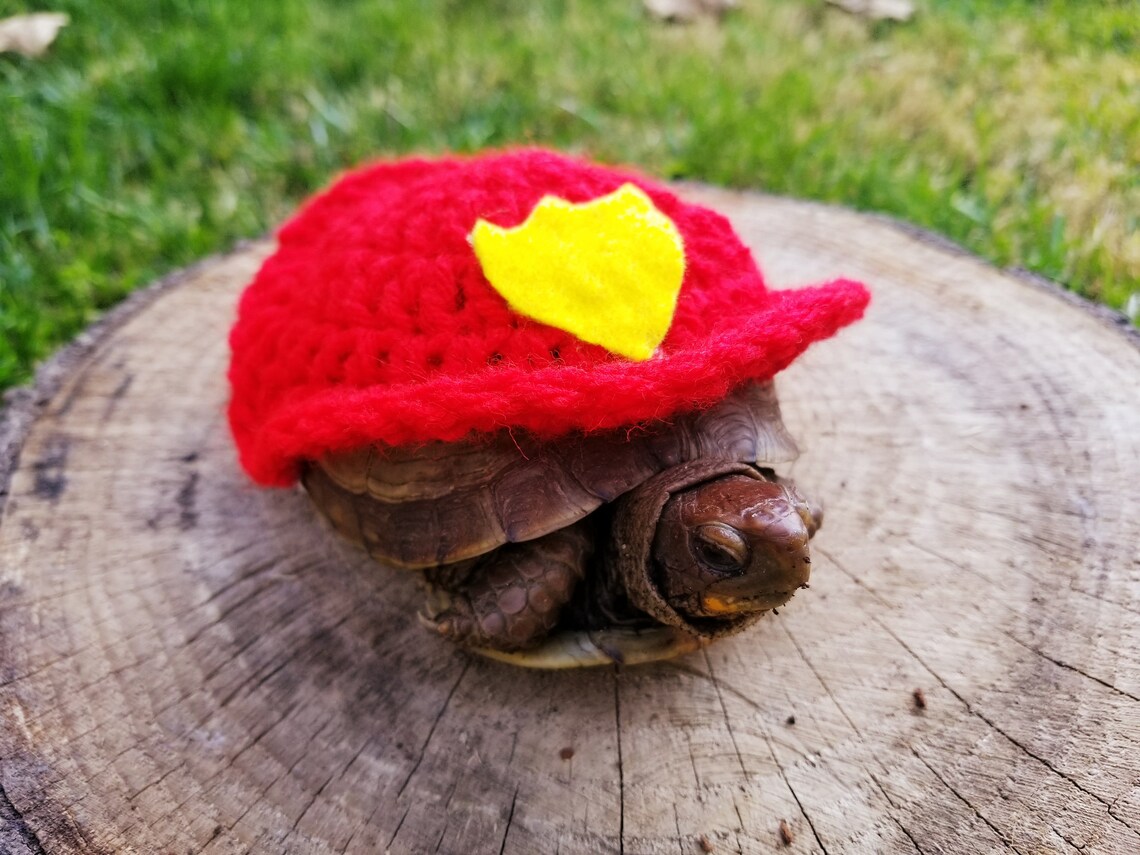 Firefighter Helmet Inspired Costume for Turtle/Tortoises | Etsy
