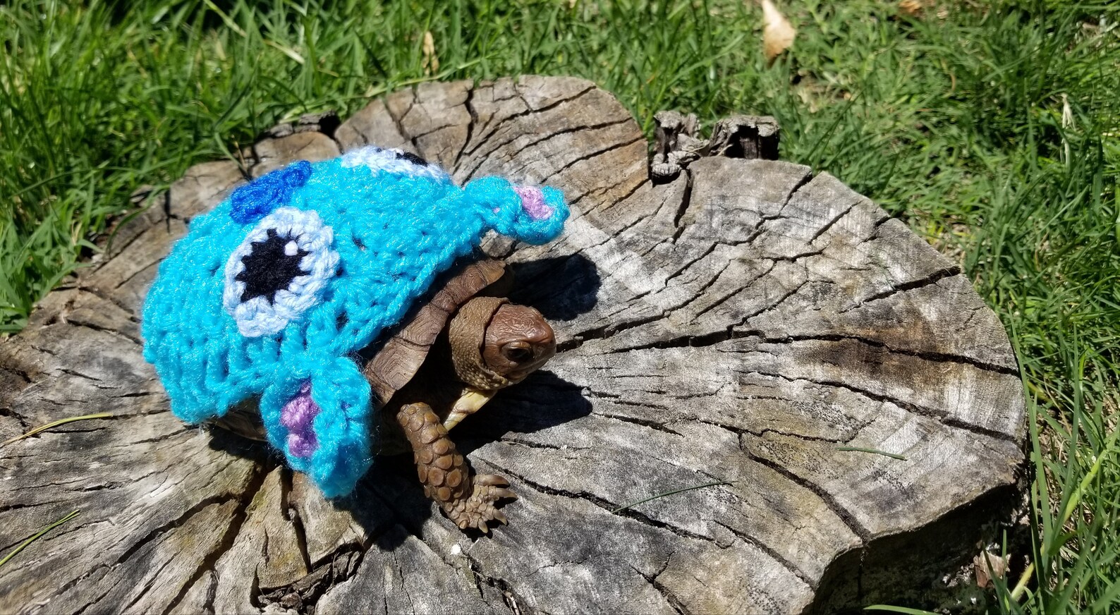 Stitch Inspired Costume for Turtle/tortoises | Etsy