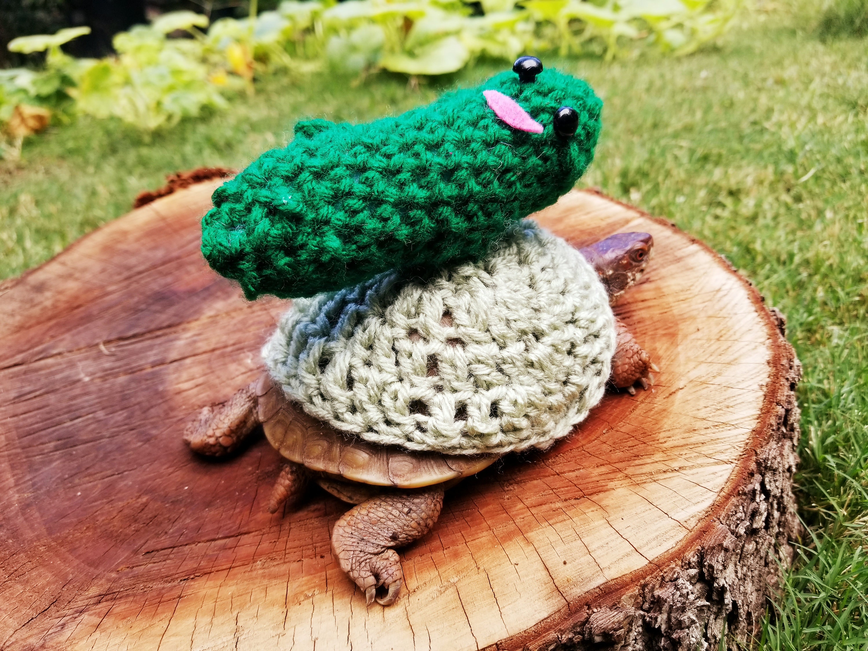 Mr. Pickle Inspired Crochet Costume for Turtles/ Tortoises | Etsy