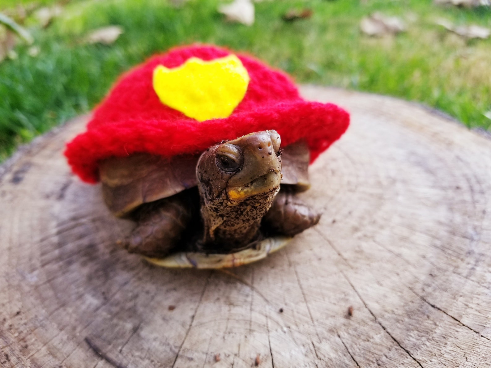 Firefighter Helmet Inspired Costume for Turtle/tortoises - Etsy