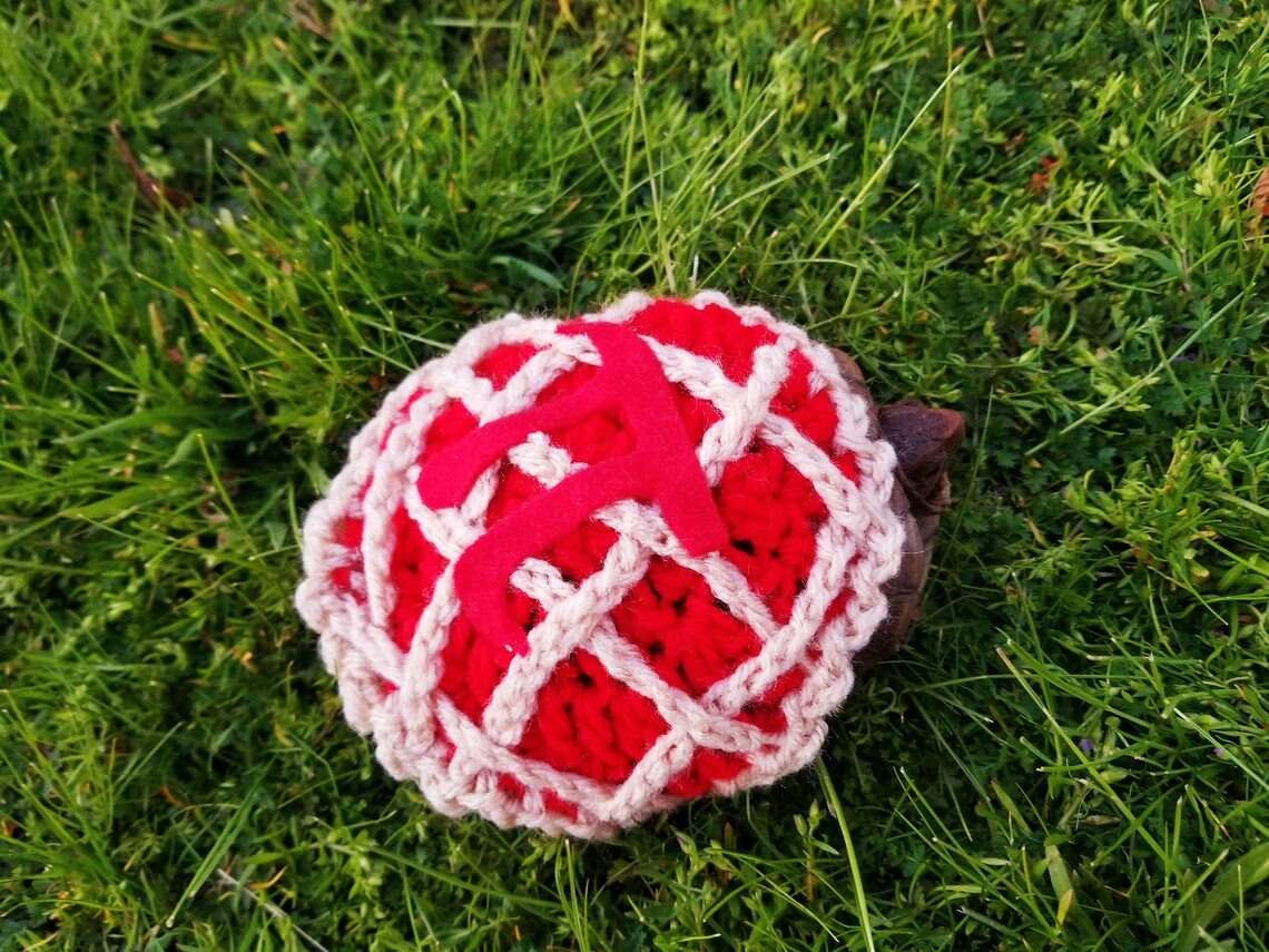 Cherry Pie With Pi Crochet Costume for Turtle/ Tortoise - Etsy
