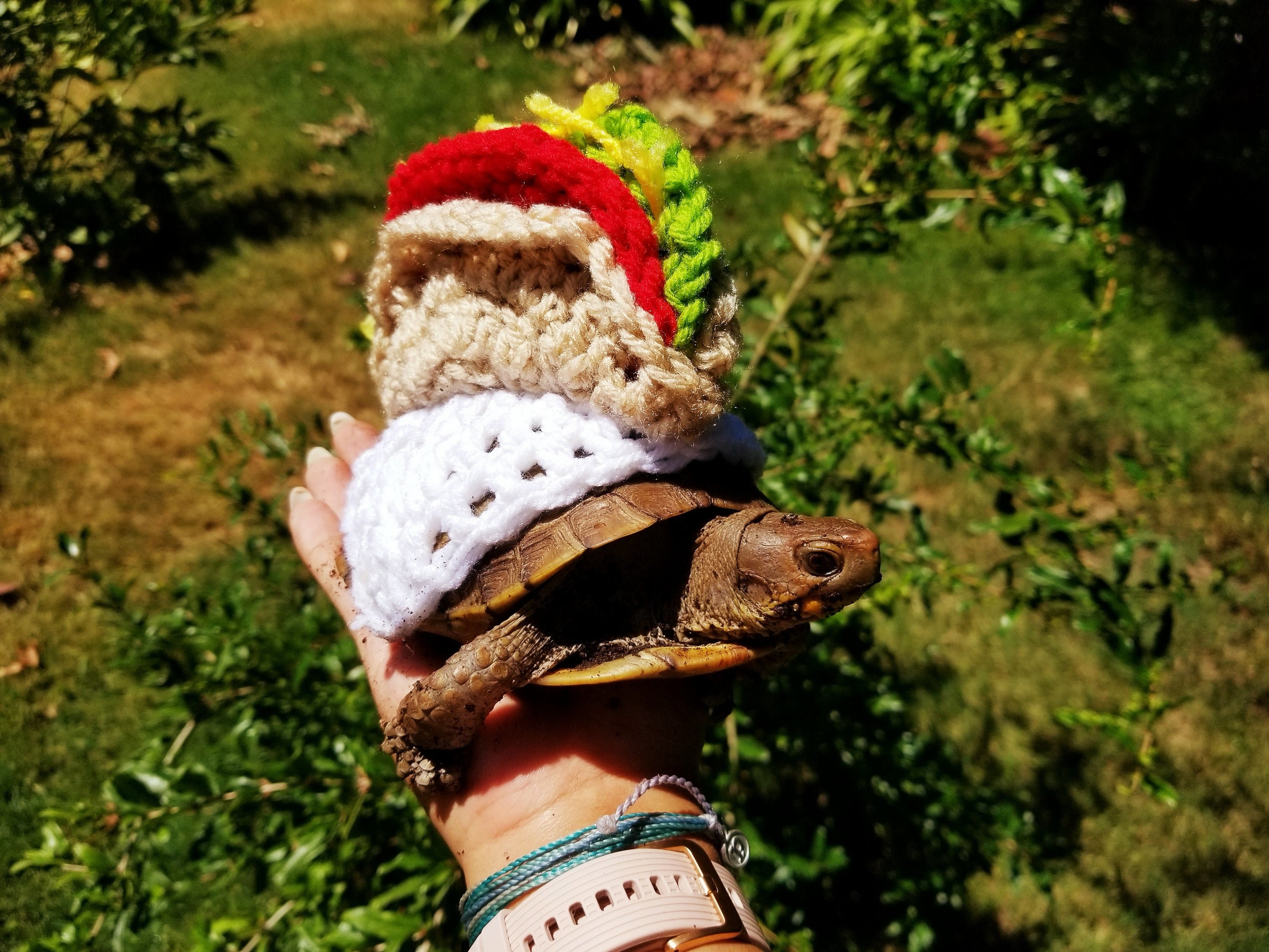 Crochet Street Taco Costume for Turtles/ Tortoises | Etsy