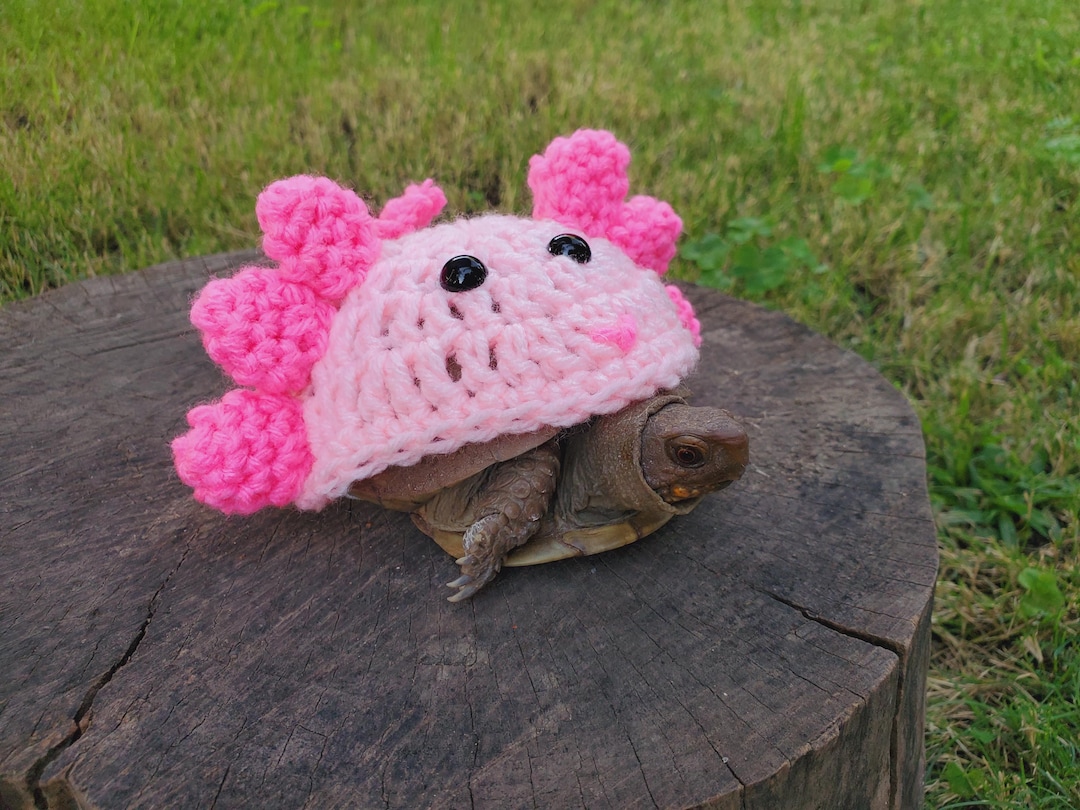 Axolotl Inspired Crochet Costume for Turtles/ Tortoises - Etsy