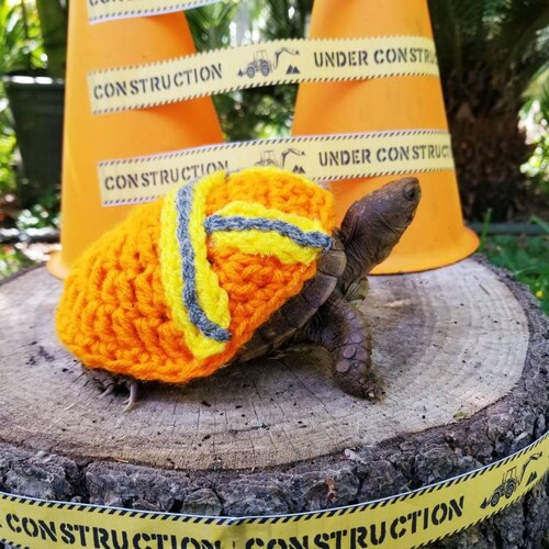 Love Inspired Pom Pom Crochet Costume for Turtle/tortoises - Etsy