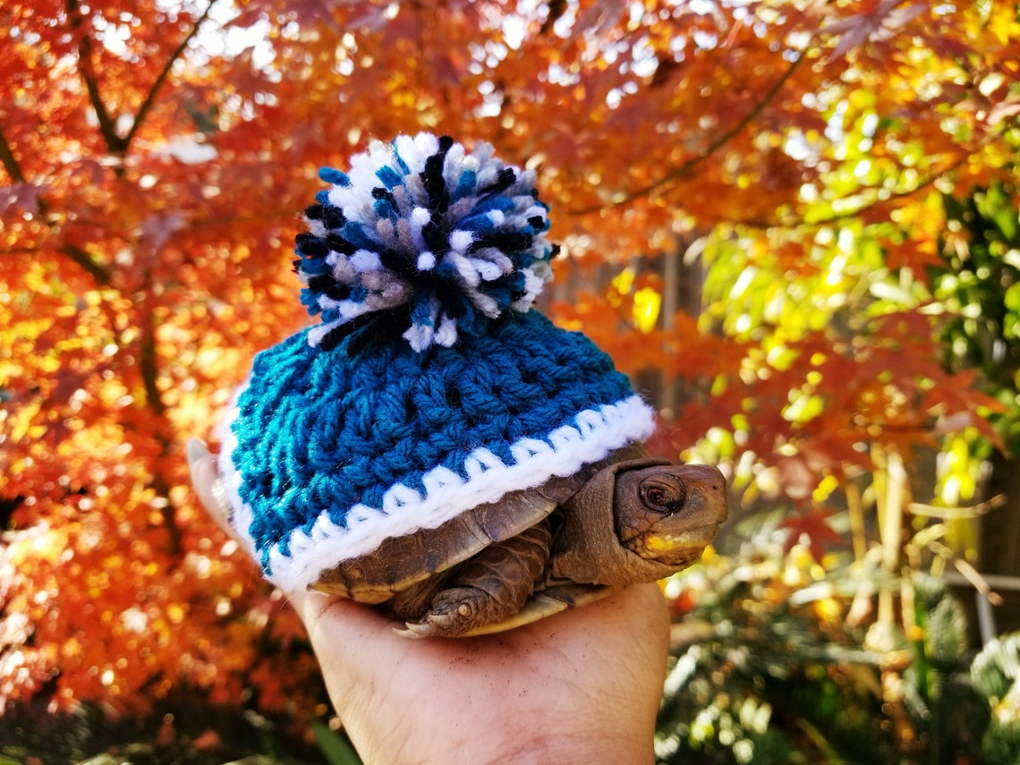 Festive Pom Pom Turtle/ Tortoise Costume - Etsy