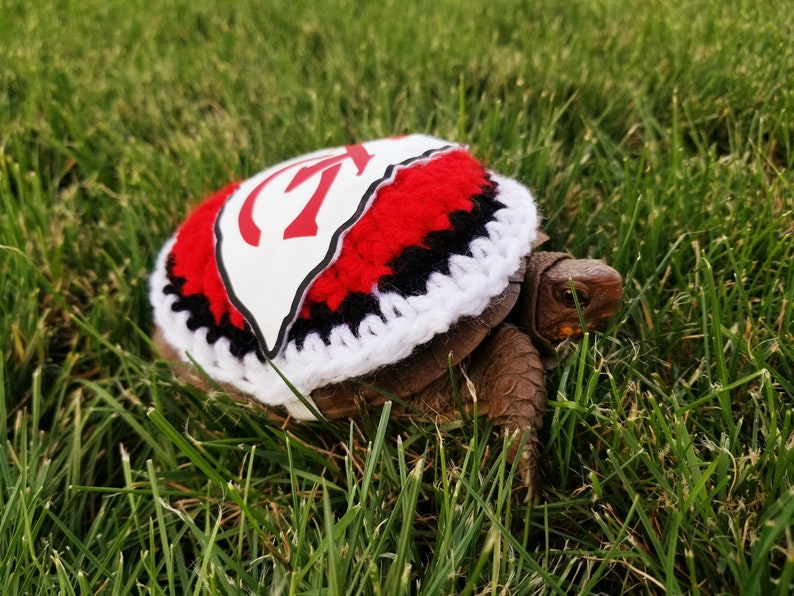 Football Team Inspired Costume for Turtle/ Tortoise - Etsy
