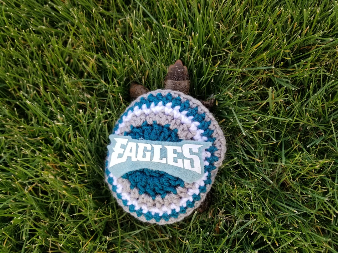 Football Team Inspired Costume for Turtles/ Tortoises - Etsy