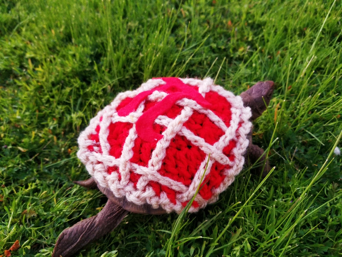 Cherry Pie With Pi Crochet Costume for Turtle/ Tortoise - Etsy