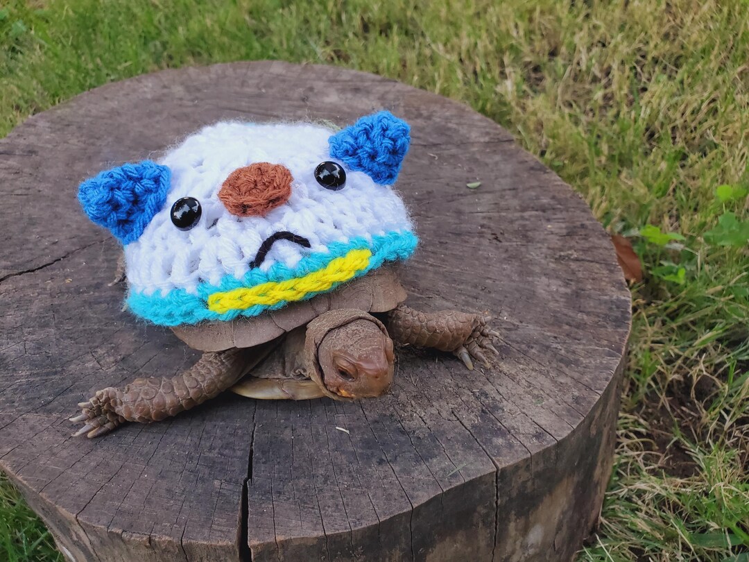 Sea Otter Inspired Crochet Costume for Turtle/tortoises - Etsy