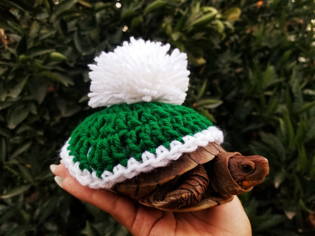 Festive Pom Pom Turtle/ Tortoise Costume - Etsy