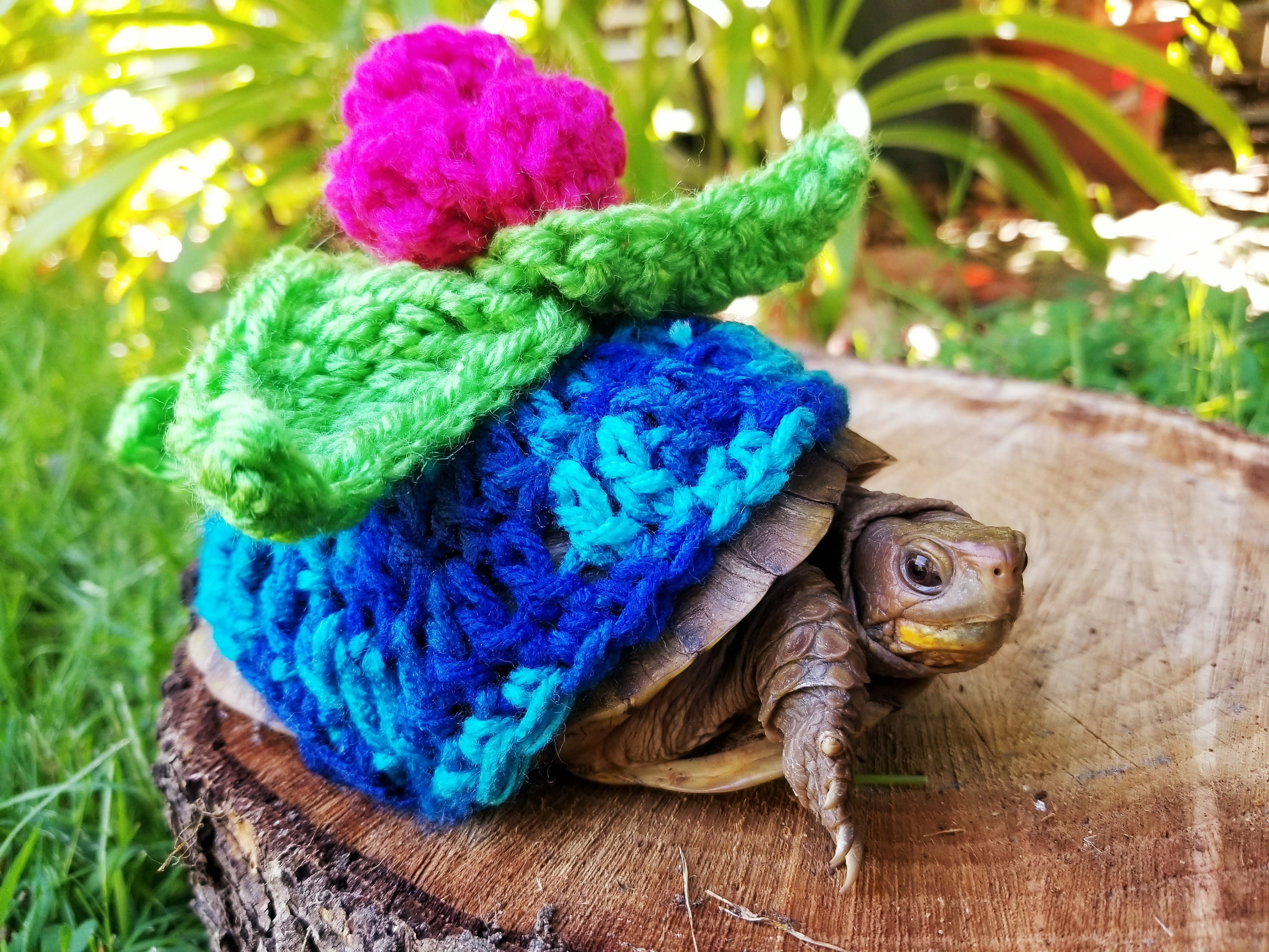 Ivysaur Inspired Costume for Turtle/tortoises | Etsy