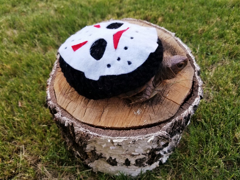 Scary Movie Inspired Costume for Turtles/ Tortoises - Etsy