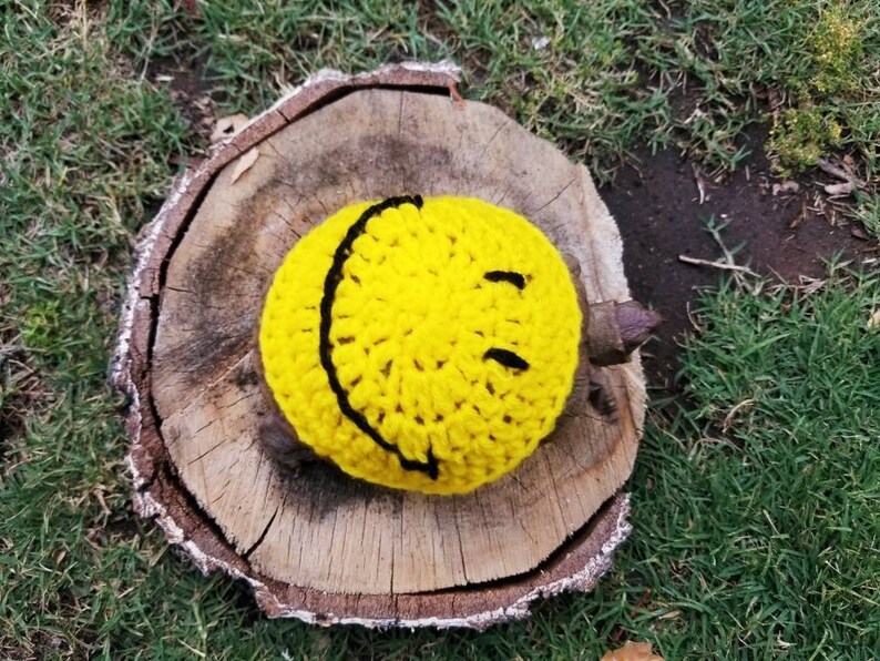 Smiley Face Costume for Turtles/tortoises | Etsy