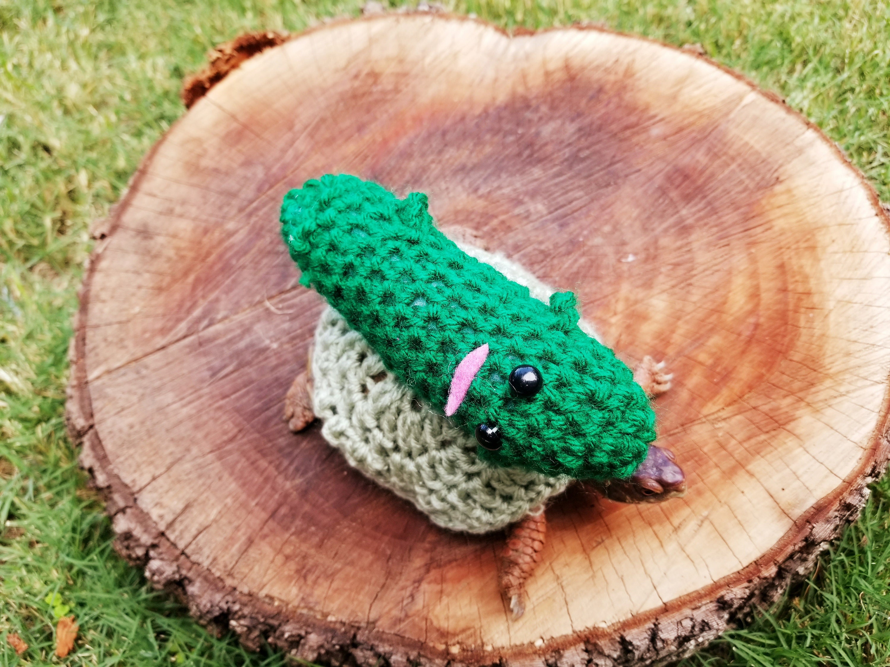 Mr. Pickle Inspired Crochet Costume for Turtles/ Tortoises | Etsy