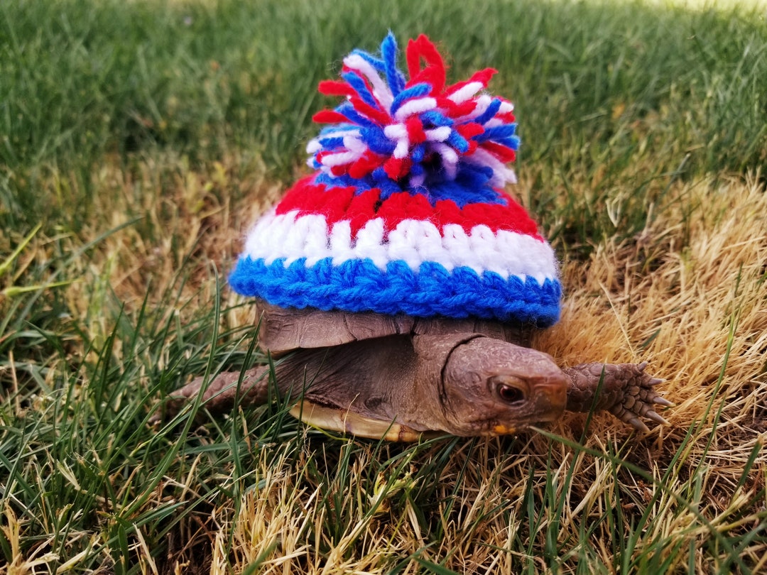 Festive Pom Pom Turtle/ Tortoise Costume - Etsy