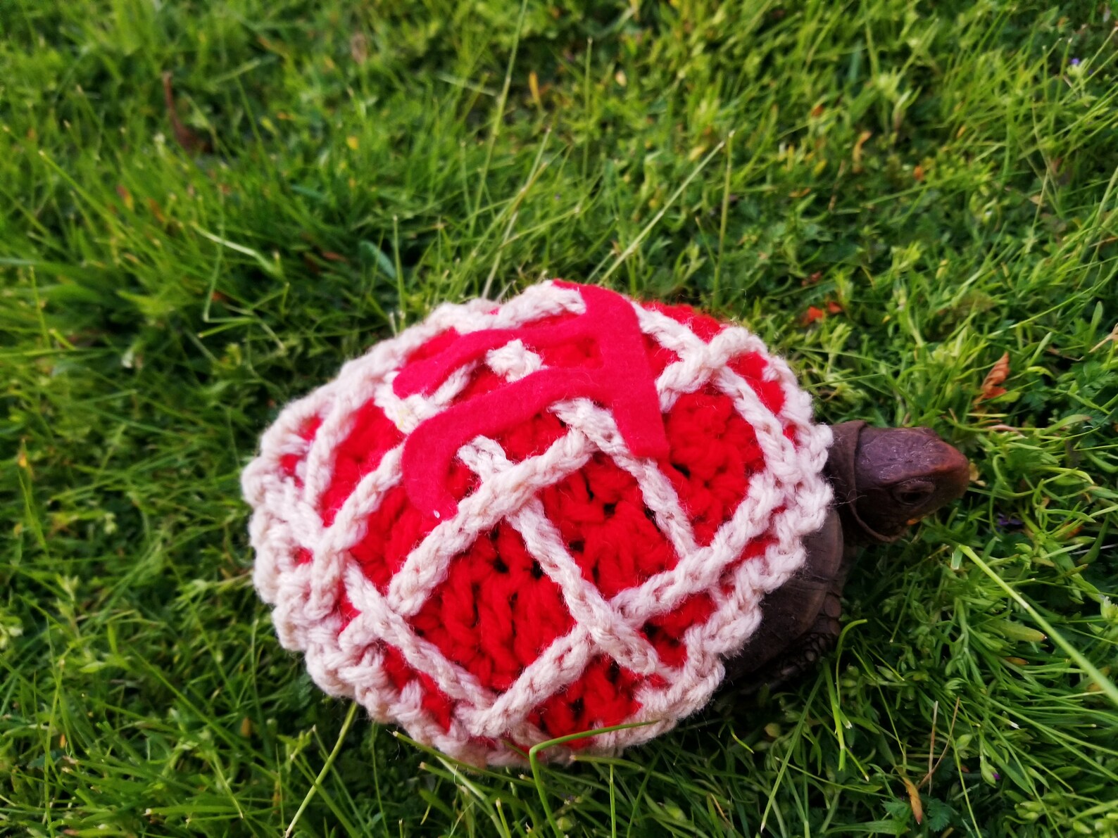 Cherry Pie With Pi Crochet Costume for Turtle/ Tortoise - Etsy