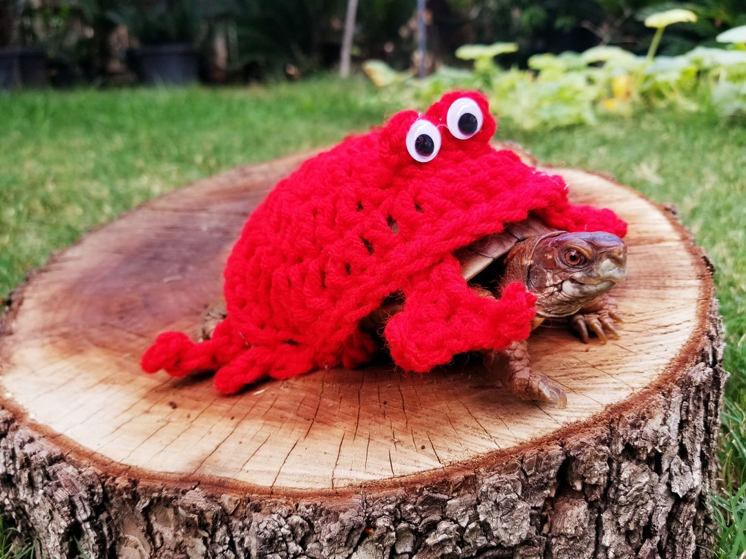Crab Inspired Crochet Costume for Turtles/ Tortoises - Etsy