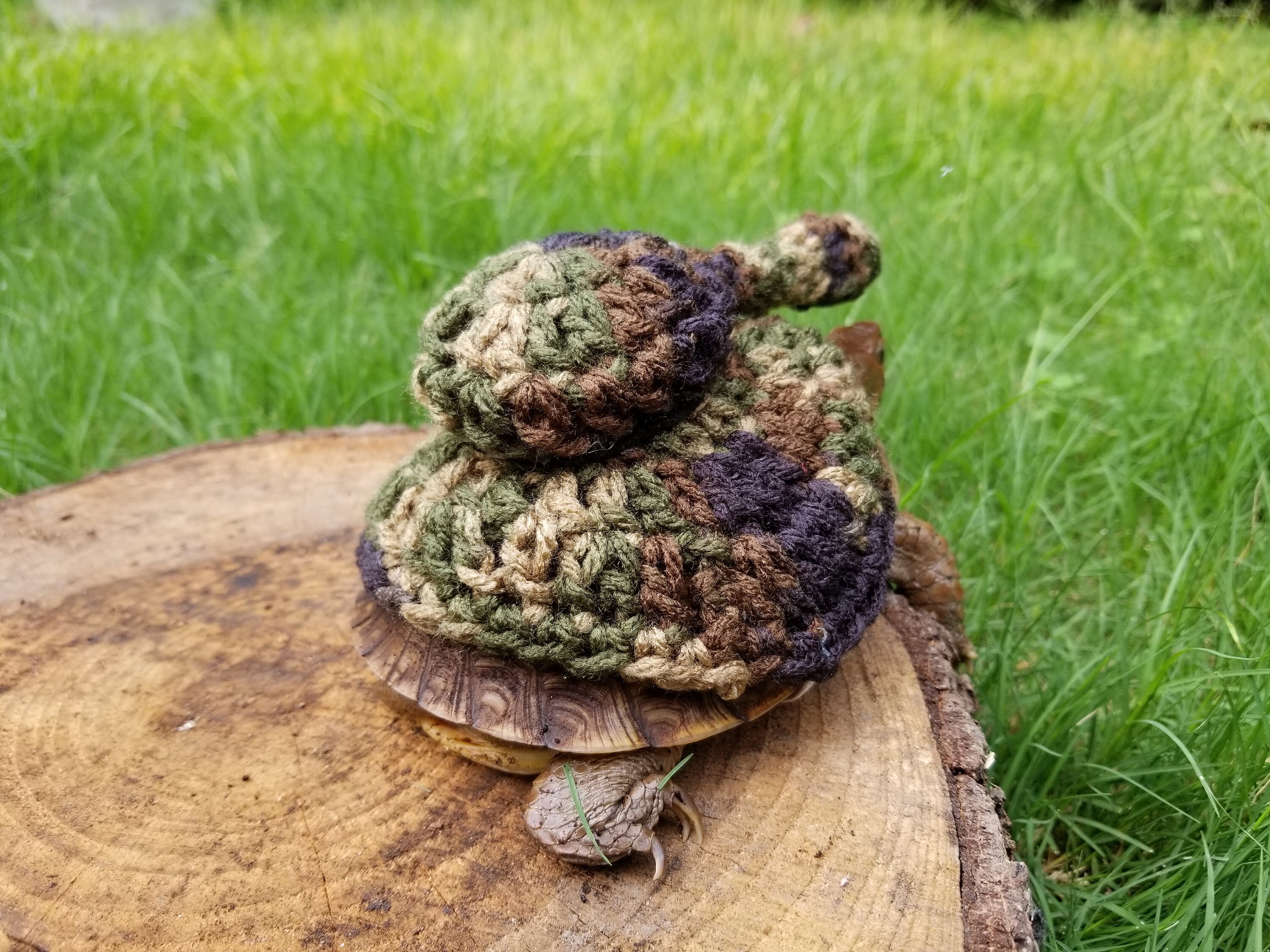 Crochet Military Tank Costume for Turtles/ Tortoises - Etsy
