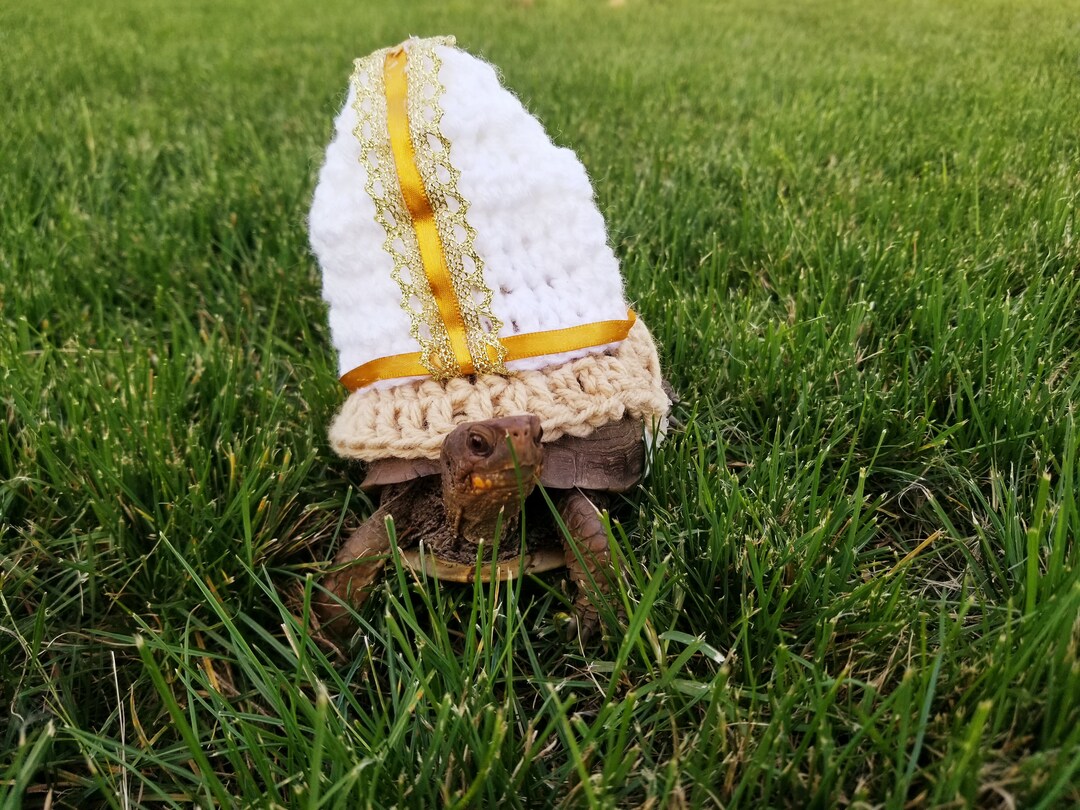 Pope Hat Inspired Crochet Costume for Turtles/ Tortoises - Etsy