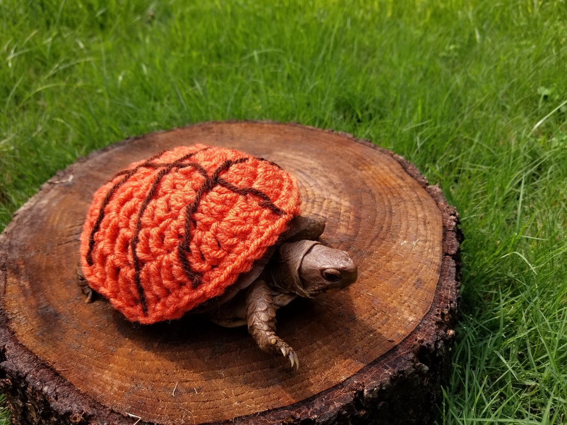 Basketball Crochet Costume for Turtles/ Tortoises - Etsy