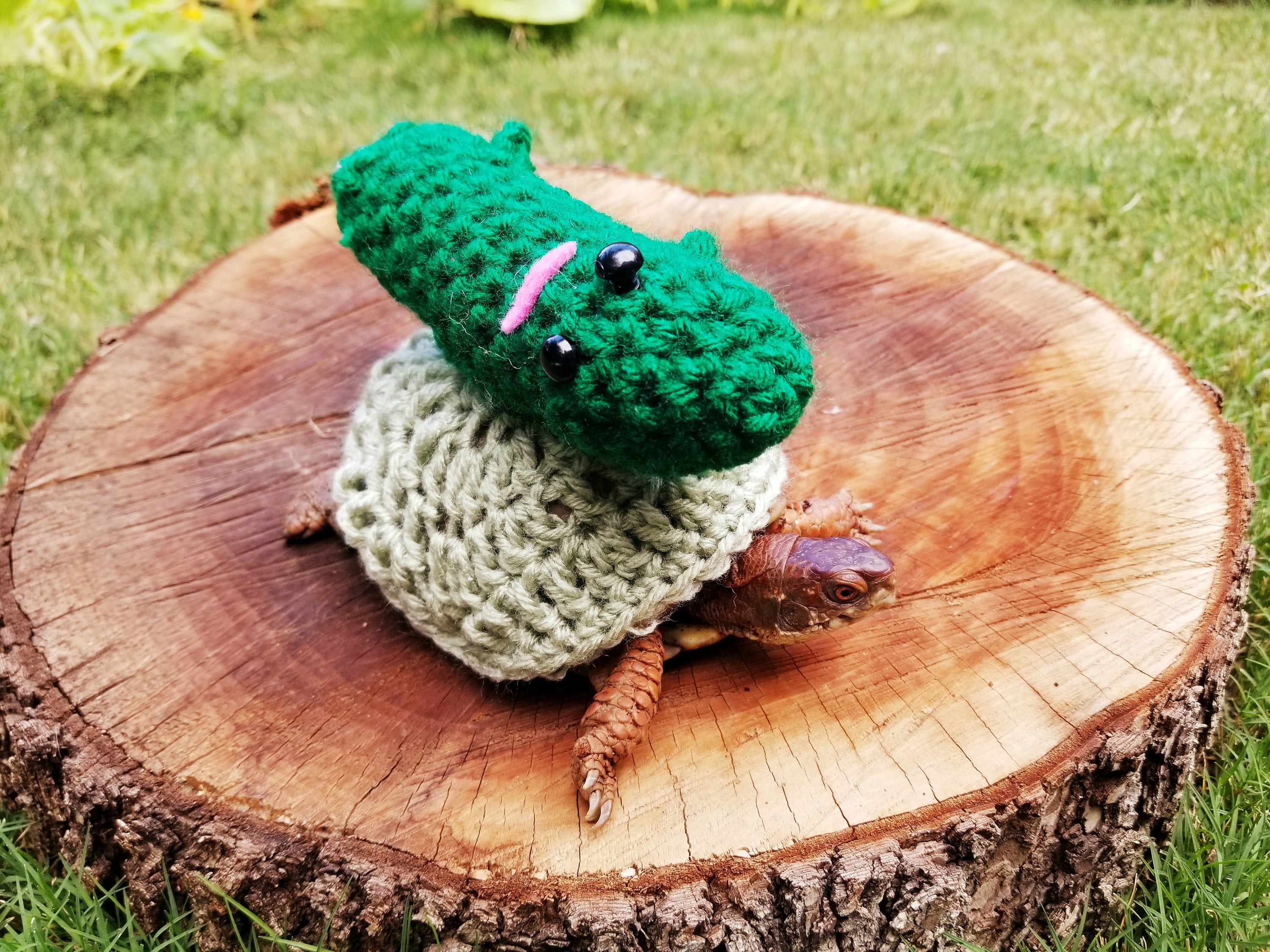 Mr. Pickle Inspired Crochet Costume for Turtles/ Tortoises | Etsy