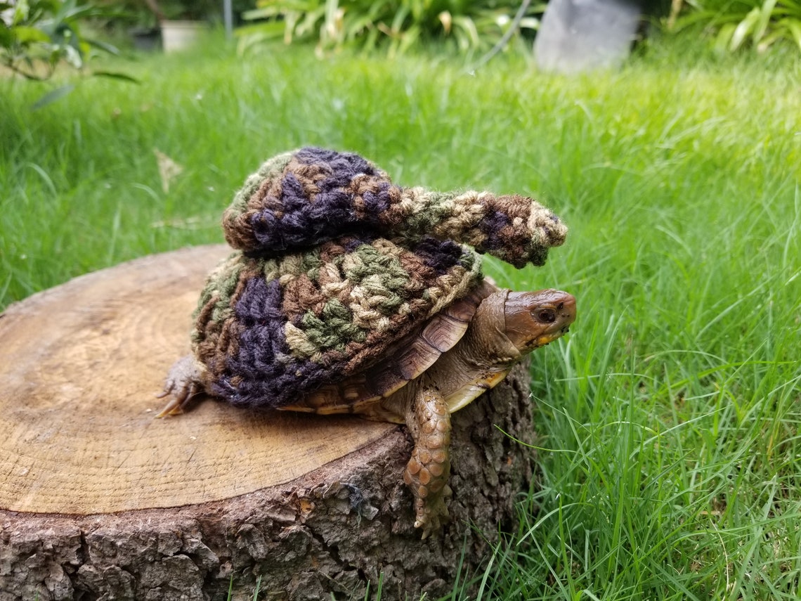 Crochet Military Tank Costume for Turtles/ Tortoises - Etsy