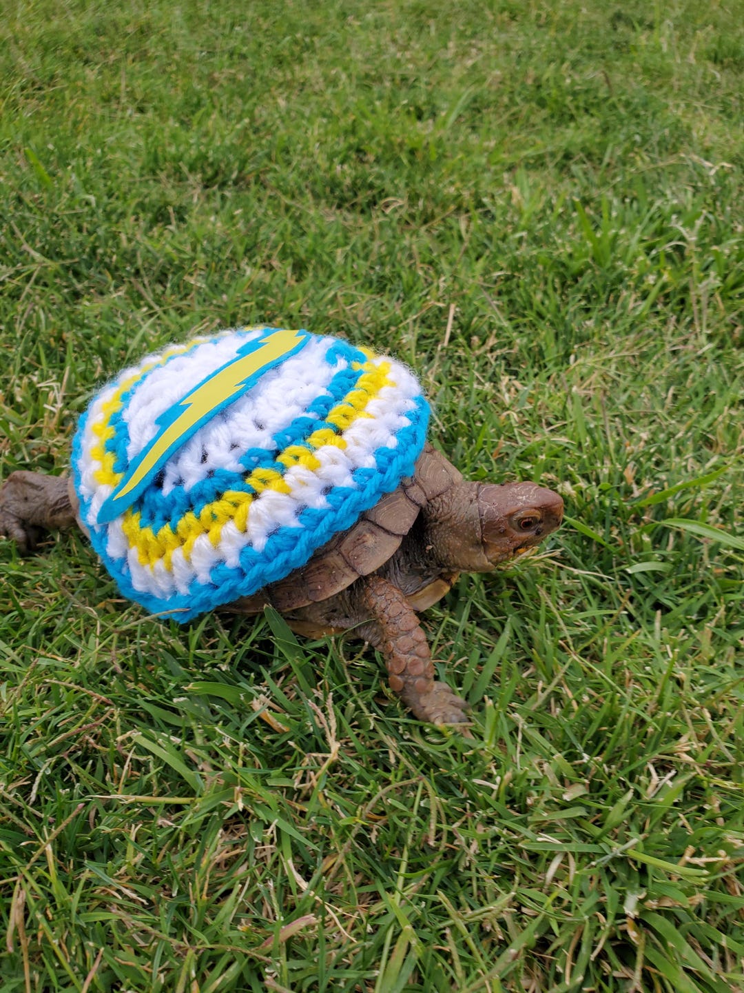 Sport Team Inspired Crochet Costume With Felt/vinyl Applique for Turtle ...