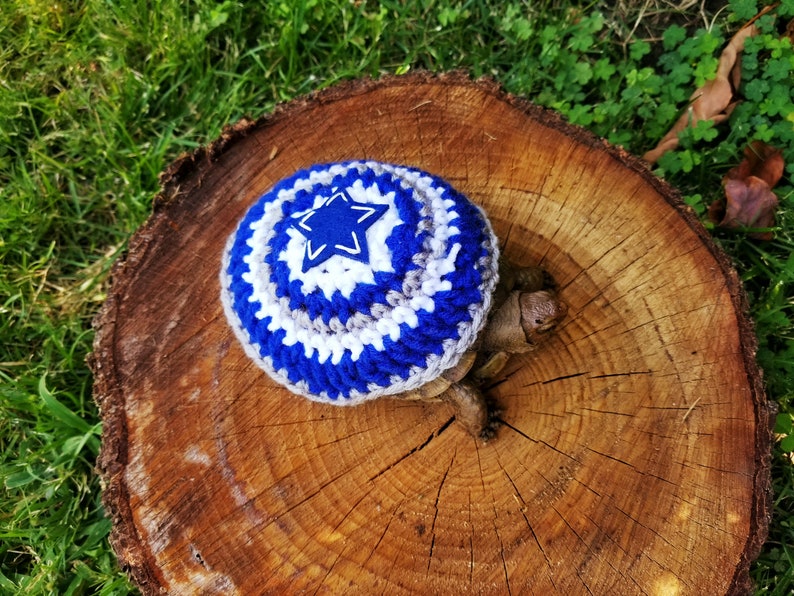 Football Team Inspired Costume for Turtle/ Tortoise | Etsy