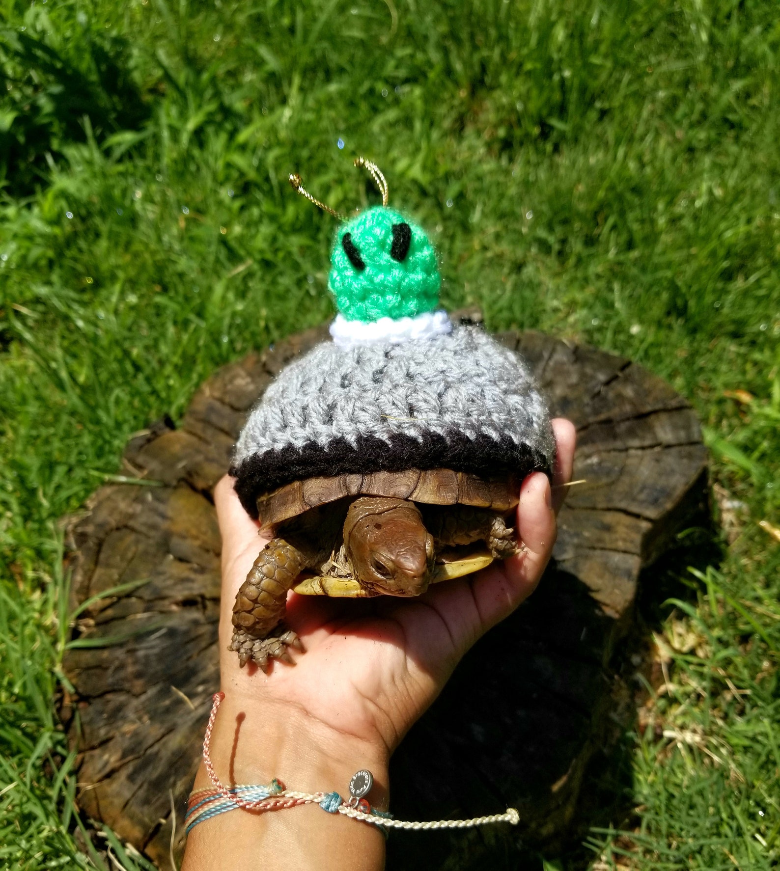 Alien in Spaceship Costume for Turtle/tortoises - Etsy