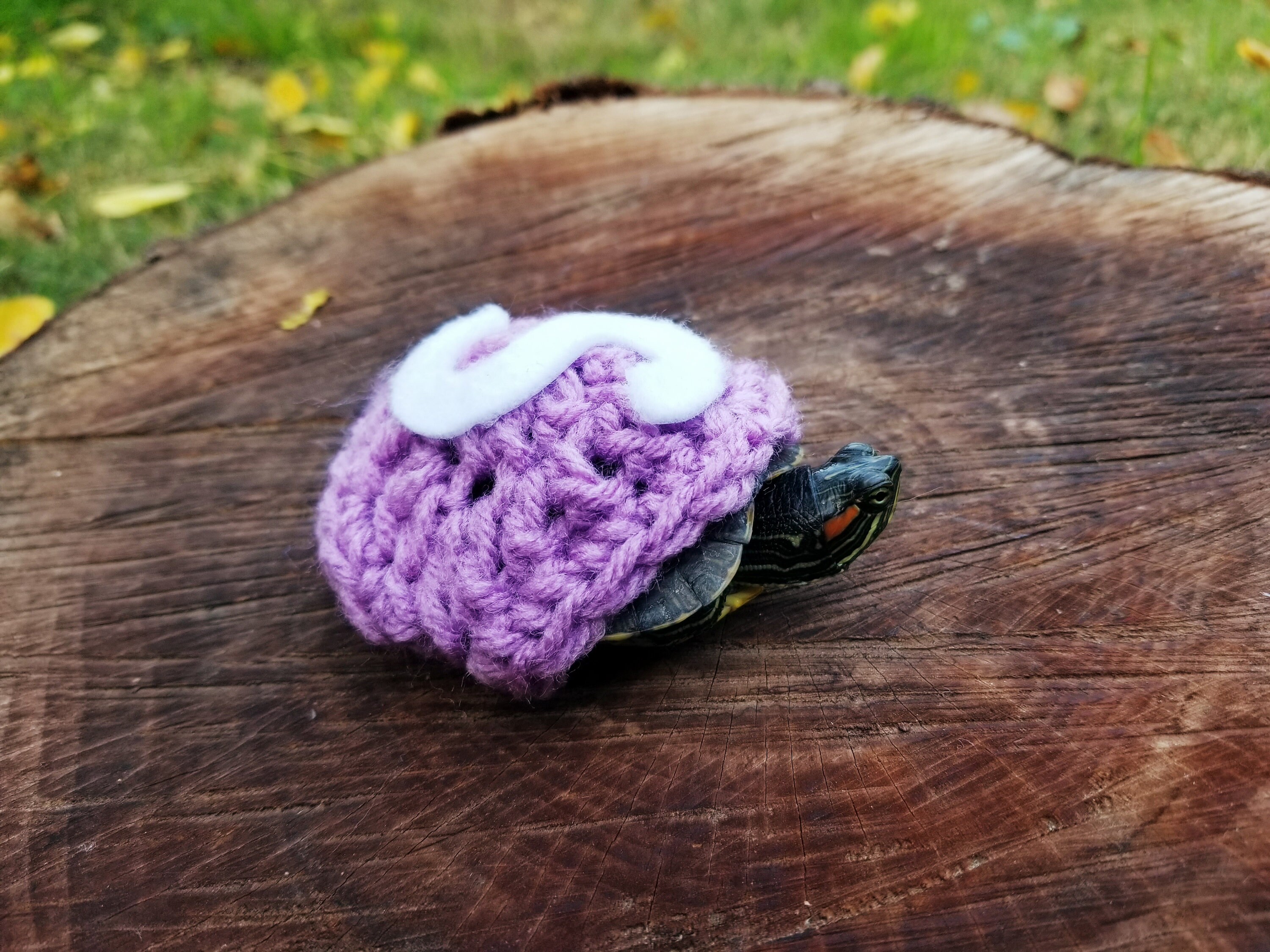 Custom Letter Crochet Costume for Turtle/tortoise | Etsy