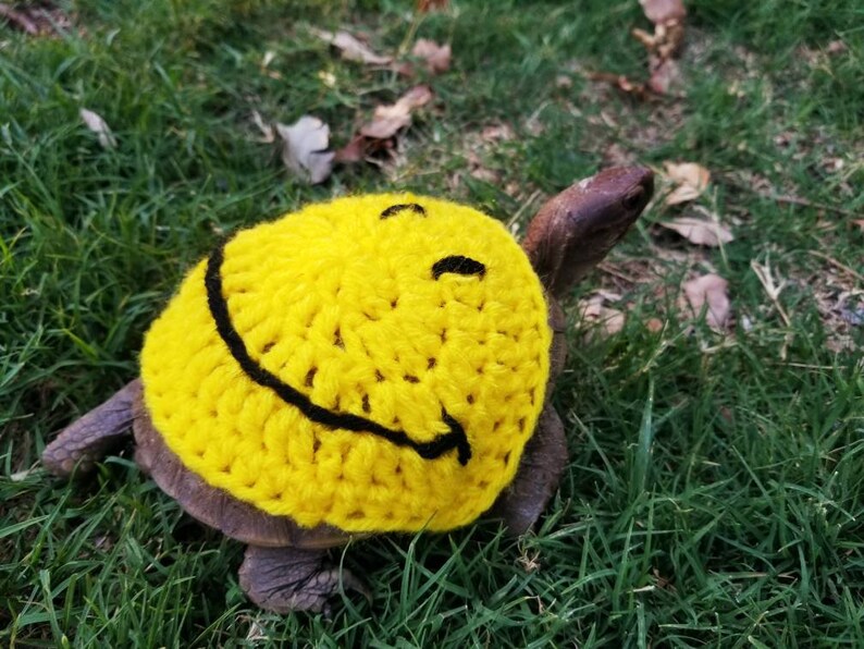 Smiley Face Costume for Turtles/tortoises | Etsy