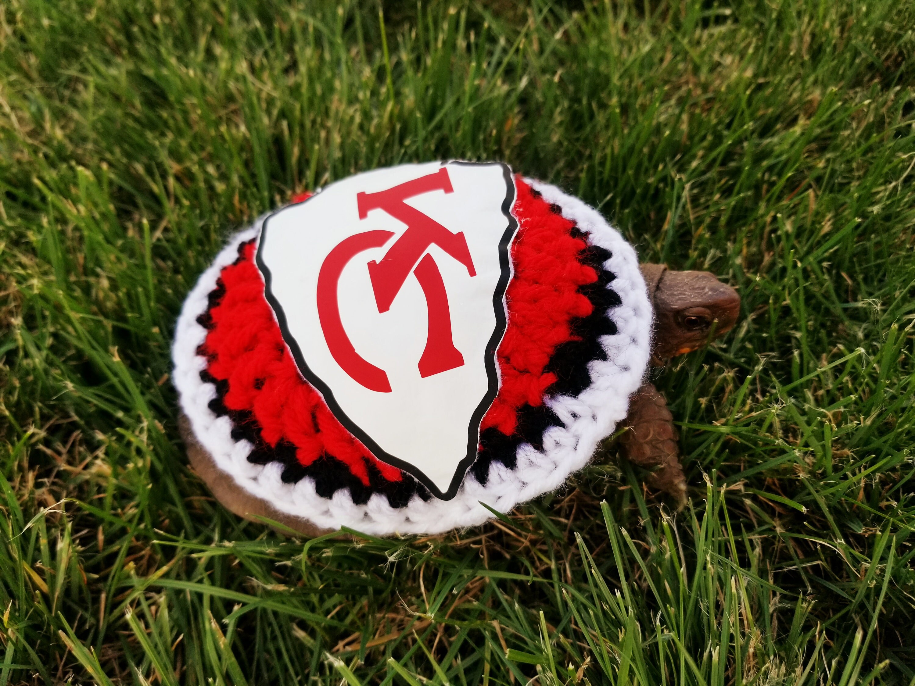Football Team Inspired Costume for Turtle/ Tortoise - Etsy