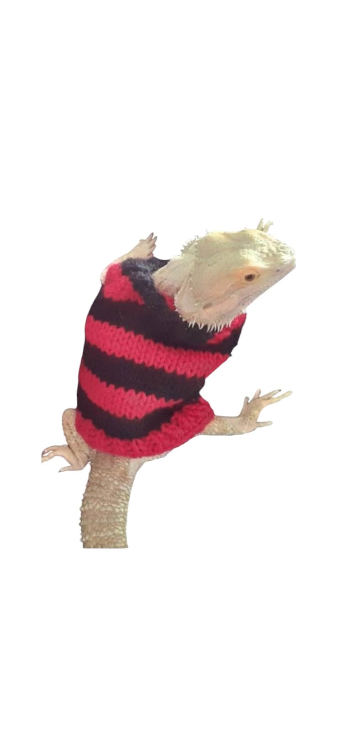 Bearded Dragon, Reptile, Lizard, Tiny Pet Jumper, Tank Top, Sweater ...
