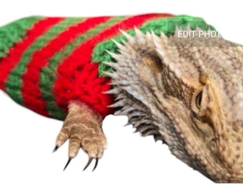 Bearded Dragon Jumper. Reptile, Lizard, Small Pet Jumper, Tank Top ...